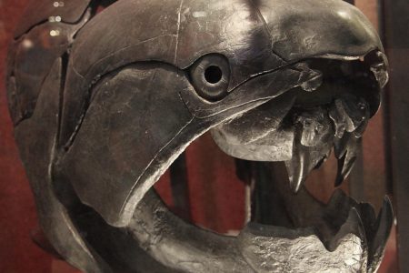 Scientists reveal surprising link between human teeth and 460-million ...