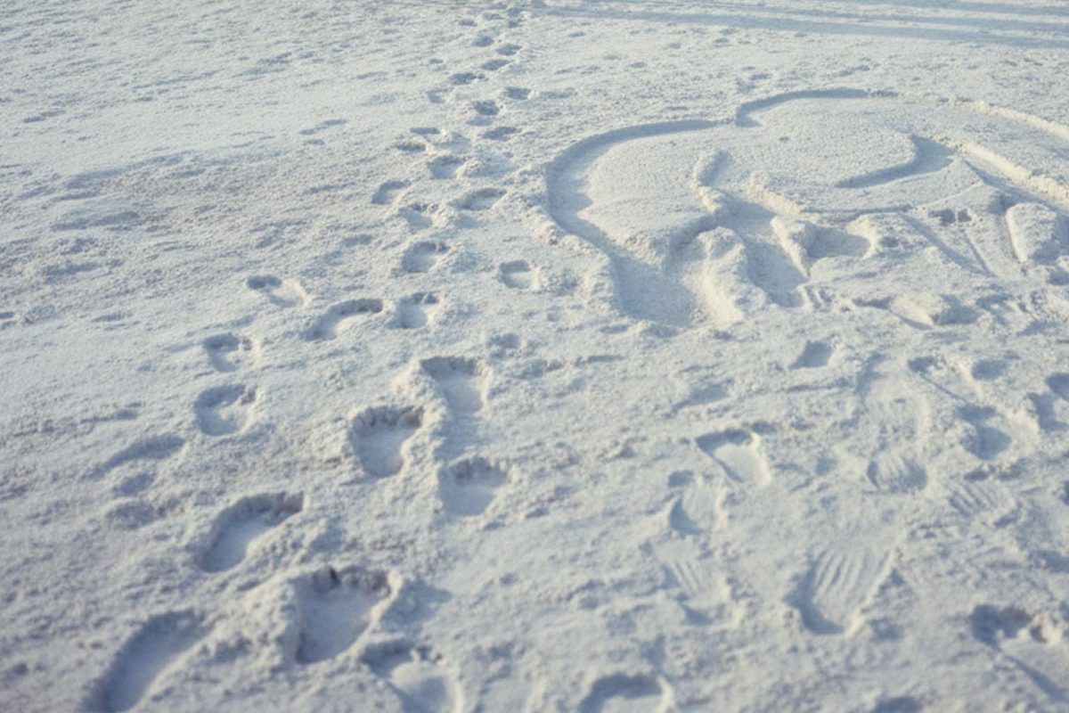 These 23,000-year-old footprints reveal ancestors walking alongside ...