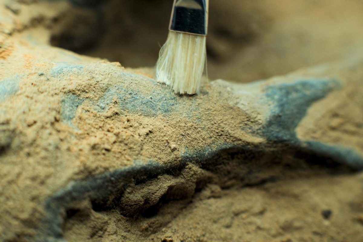 This forgotten Illinois trash hill may rewrite the story of prehistoric ...