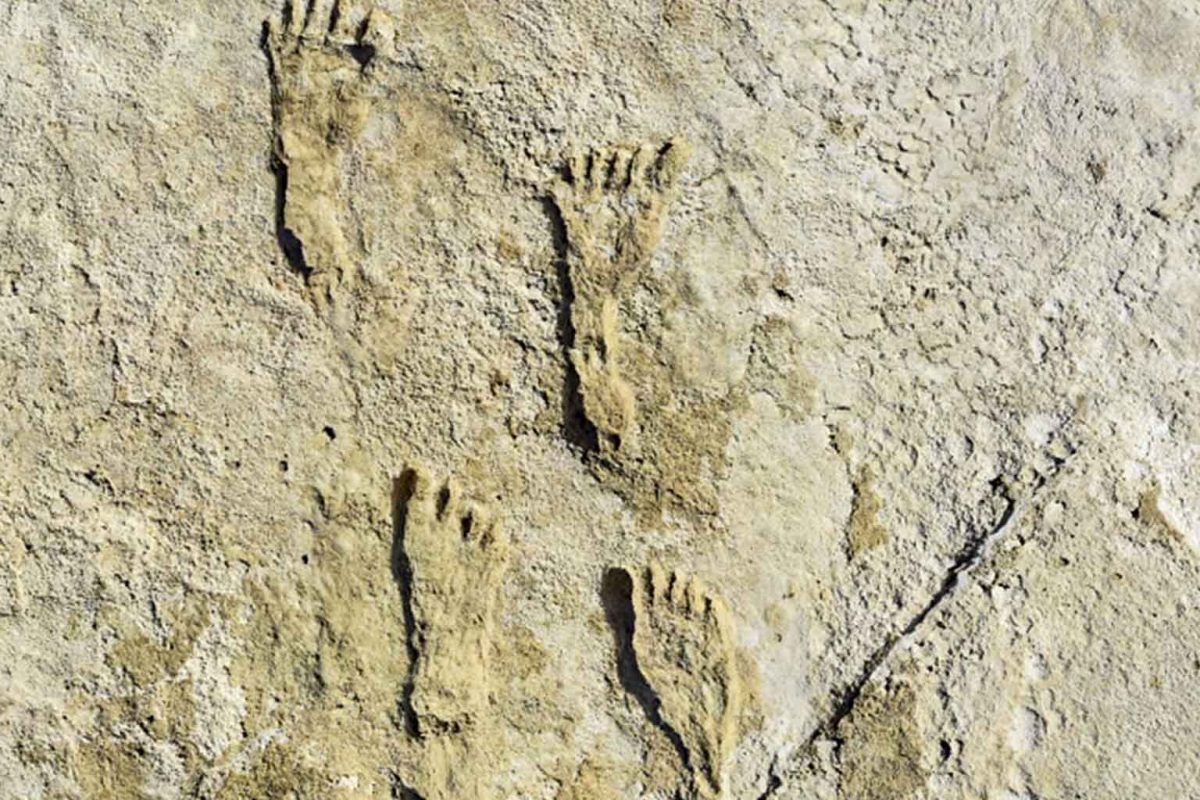 Ancient New Mexico footprints reveal earliest known human activity in ...