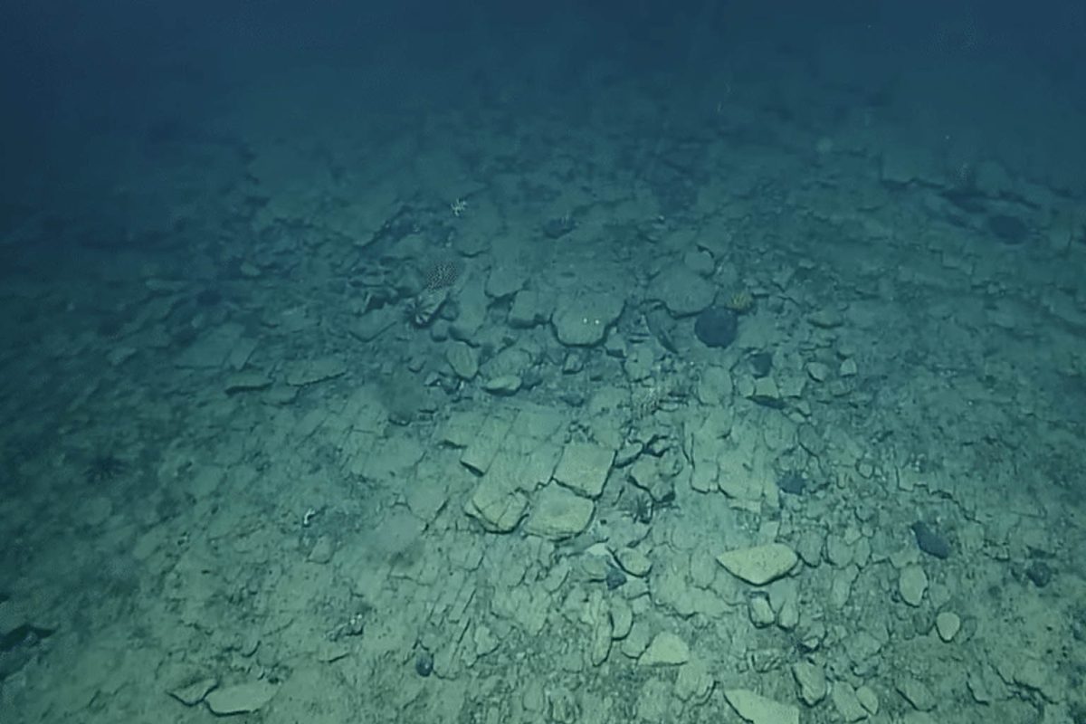 Mysterious ‘Yellow Brick Road’ Found in the Depths of the Pacific Ocean ...