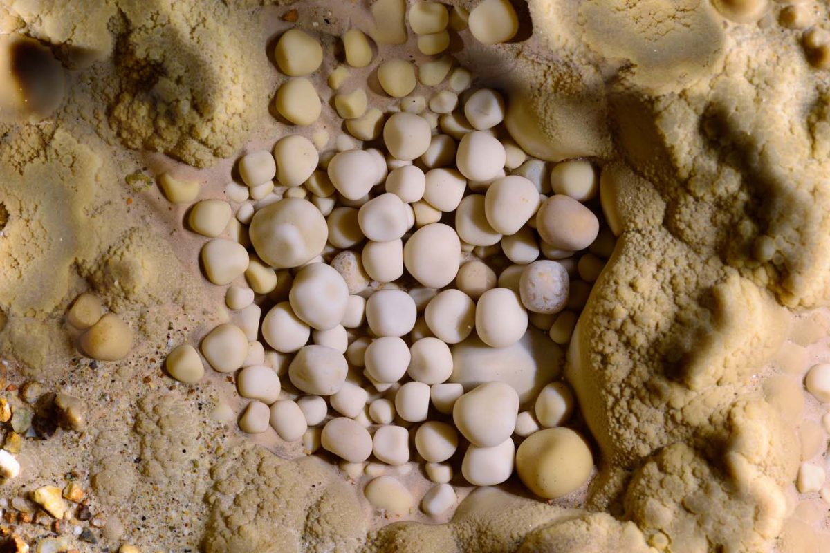 Jerusalem cave: discovery of pearls with ancient artifacts encased in ...