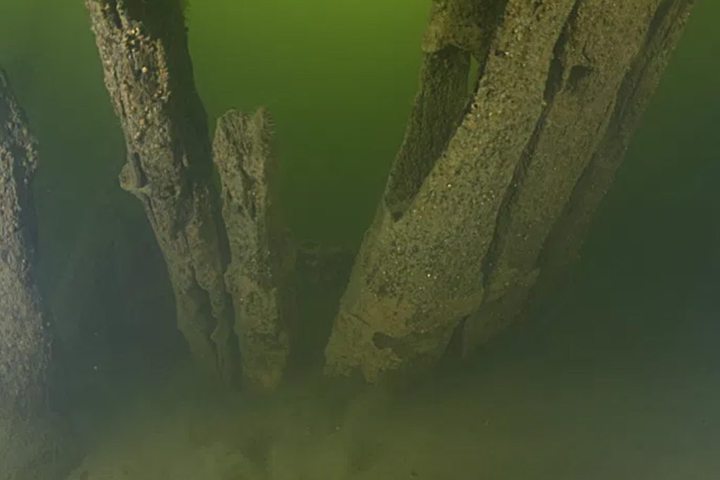 Sweden: Discovery of potentially oldest centuries-old shipwreck ...
